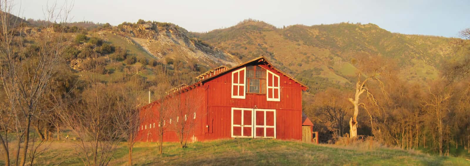 Welcome Back to Saint Nicholas Ranch! • Greek Orthodox Metropolis of ...